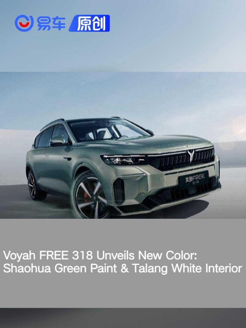 Voyah FREE 318 Introduces New Car Color: Shaohua Green Paint and Talang White Interior | BitAuto ...